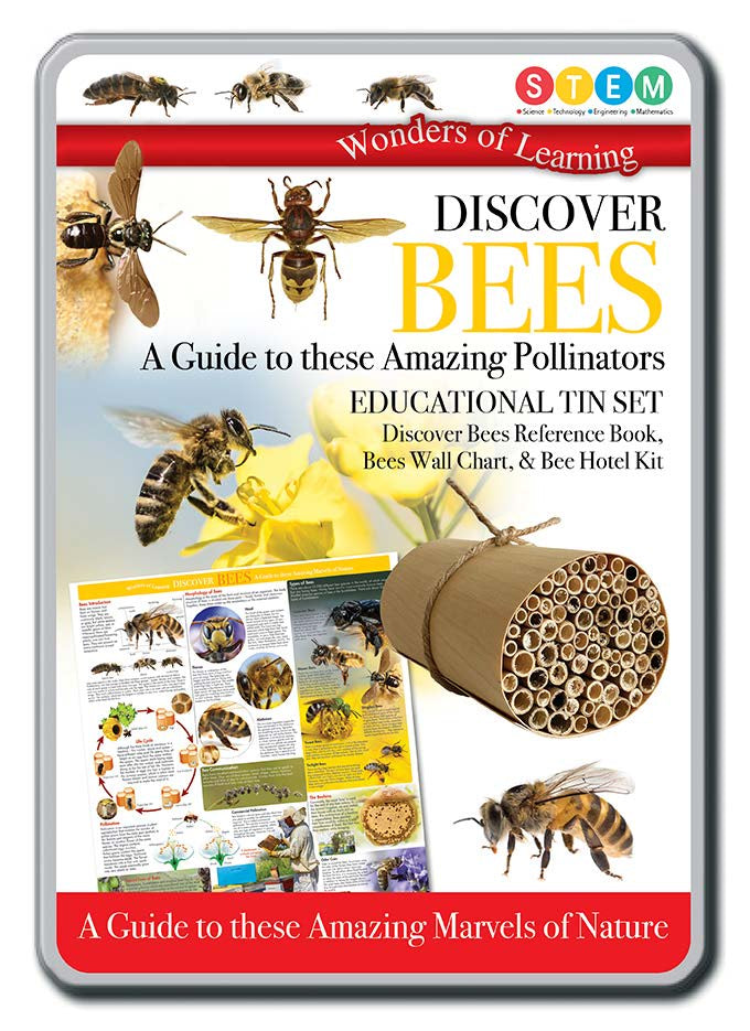 Discover Bees Tin – Melita Honey Farm